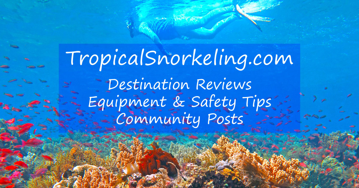 Tropical Snorkeling- Tips On Locations, Equipment And Safety