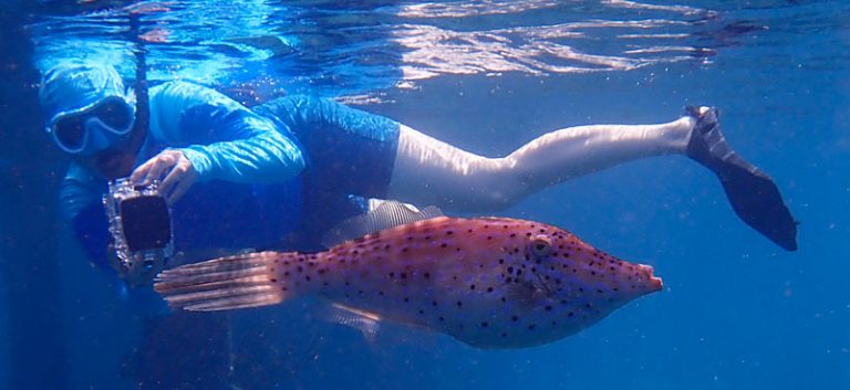 Best Snorkeling Fins - Our Hands-on Tests And Reviews - 2024