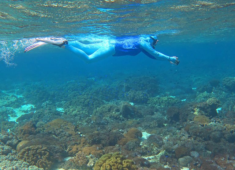 Best Snorkeling Fins - Our Hands-on Tests And Reviews - 2024