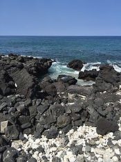 Great Snorkeling At End Of The Road Puako - Big Island