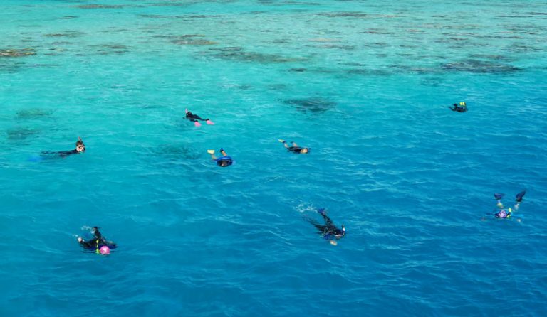 Caribbean Snorkeling Trips - Guided Snorkel Travel