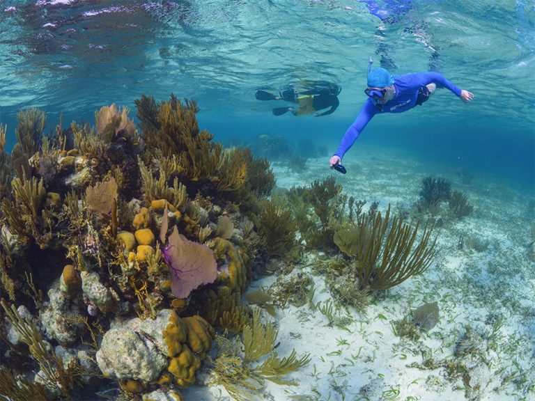 Caribbean Snorkeling Trips - Guided Snorkel Travel