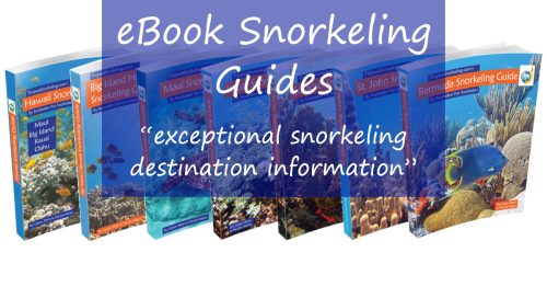 Tropical Snorkeling- Tips On Locations, Equipment And Safety
