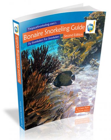 Tropical Snorkeling EBook Store