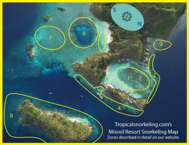 Misool Snorkeling Is Astounding! See Why It's Our Favorite.