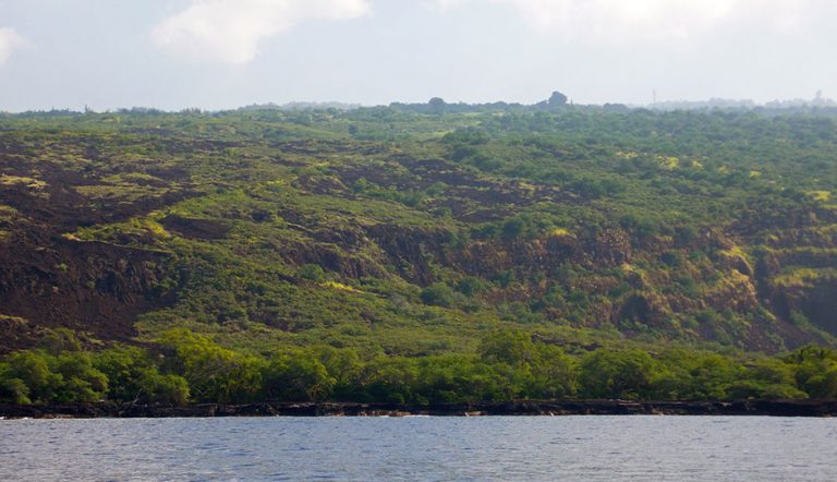 Snorkeling Captain Cook Monument - By Hike, Kayak, Boat Tour