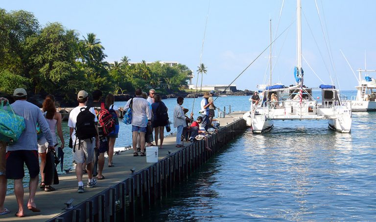 Snorkeling Captain Cook Monument - By Hike, Kayak, Boat Tour