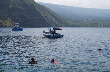 Snorkeling Captain Cook Monument - By Hike, Kayak, Boat Tour