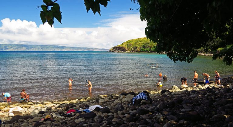 Snorkeling Honolua Bay - Worth The Drive, Hike And Long Swim
