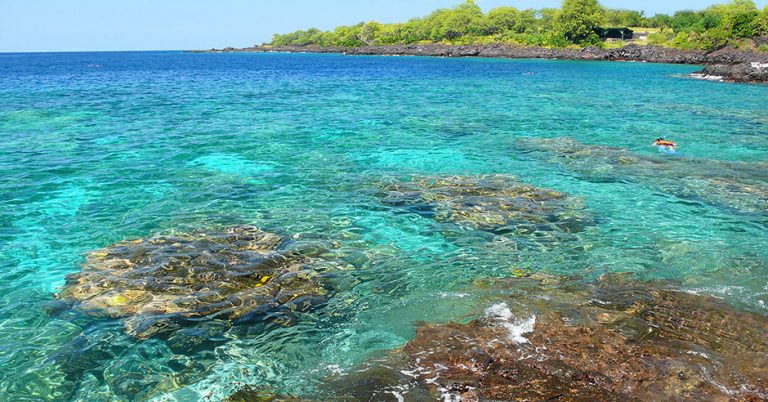 Snorkeling Two Steps - The Crown Jewel - Not To Be Missed