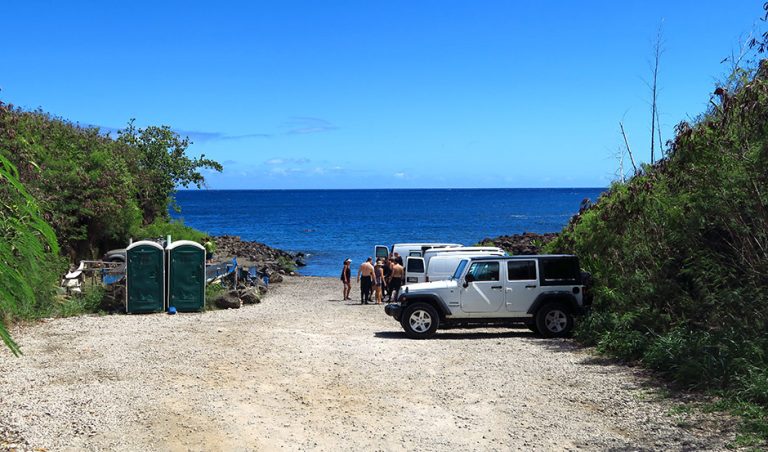 Snorkeling Koloa Landing - Large Coral Heads, Rare For Kauai