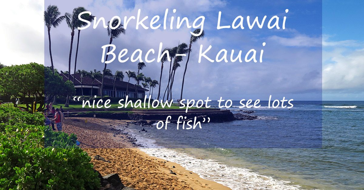 Snorkeling Lawai Beach- Get Up Close And Personal With Fish