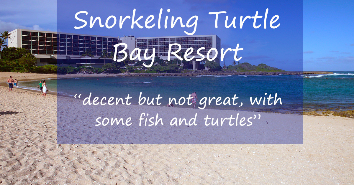 Snorkeling Turtle Bay Resort - Quiet Cove On The North Shore