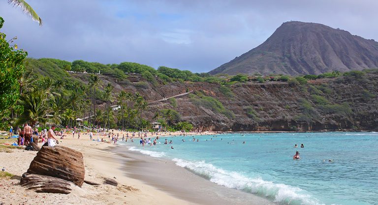 Snorkeling Hanauma Bay - Get A Reservation To See The Fishes