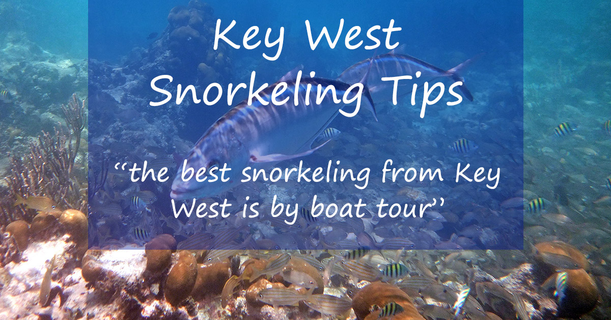 Key West Snorkeling - Best Places To Swim With The Fishes