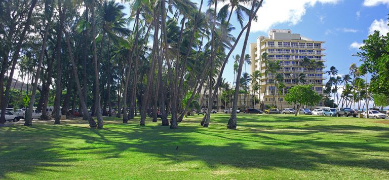 Snorkeling Queens Beach Is The Best In Waikiki
