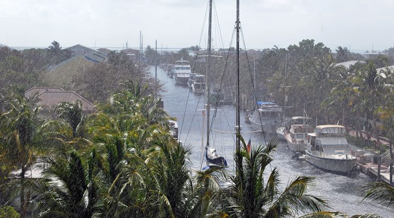 Key Largo Snorkeling - The Best Spots And How To Get To Them