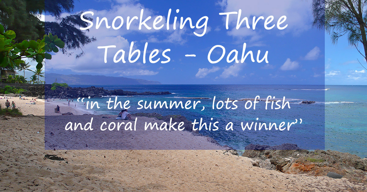 Snorkeling Three Tables Is Exciting With Corals And Fish