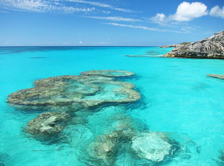 Recommended Bermuda Snorkeling Beaches And Boat Tours