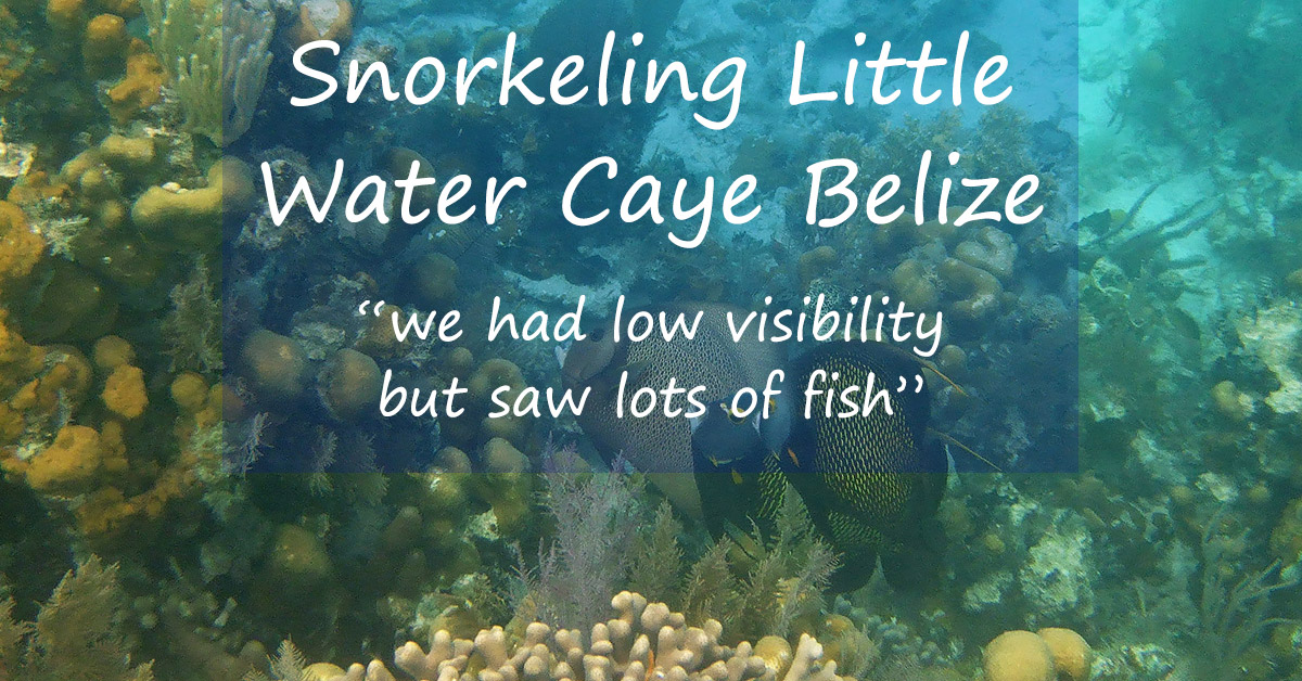 Snorkeling Little Water Caye, Belize - Great For Seeing Fish