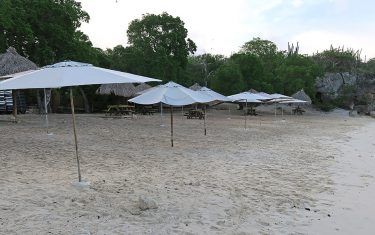 Snorkeling Little Knip Beach - Fish And A Lively Coral Reef