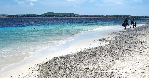 Snorkeling Klein Bonaire - Good Snorkeling By Boat Or Taxi