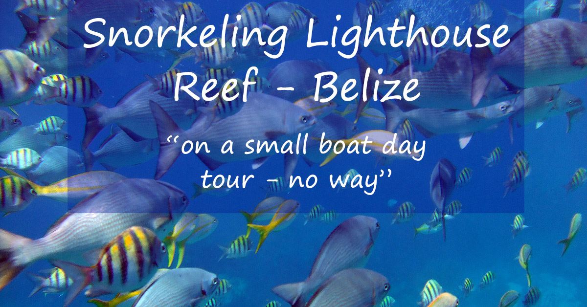 Snorkeling Lighthouse Reef Atoll - Is It Worth It?