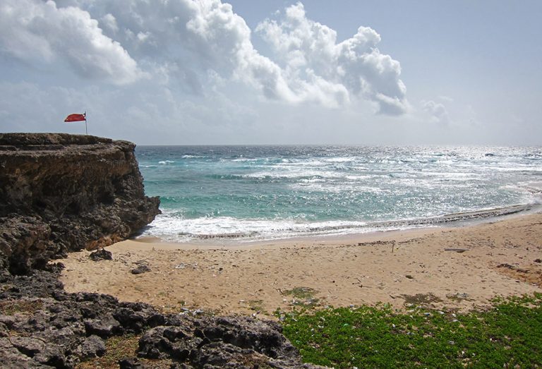 Complete Aruba Snorkeling Guide - Best Beaches And Tours