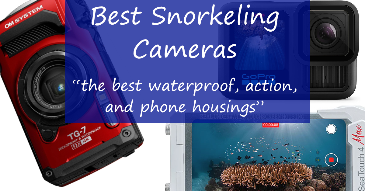 Best Snorkeling Cameras - 2025 Recommendations For Each Type
