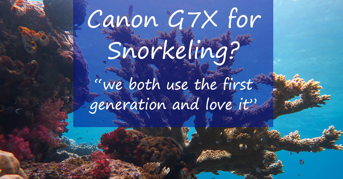 2025 Snorkeling Camera Guide - By An Experienced Snorkeler