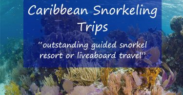 Best Snorkeling Fins - Our Hands-on Tests And Reviews - 2023