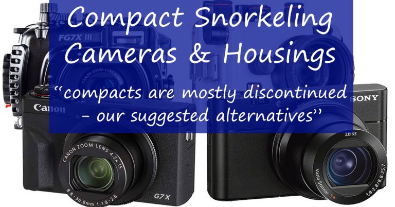 2025 Snorkeling Camera Guide - By An Experienced Snorkeler