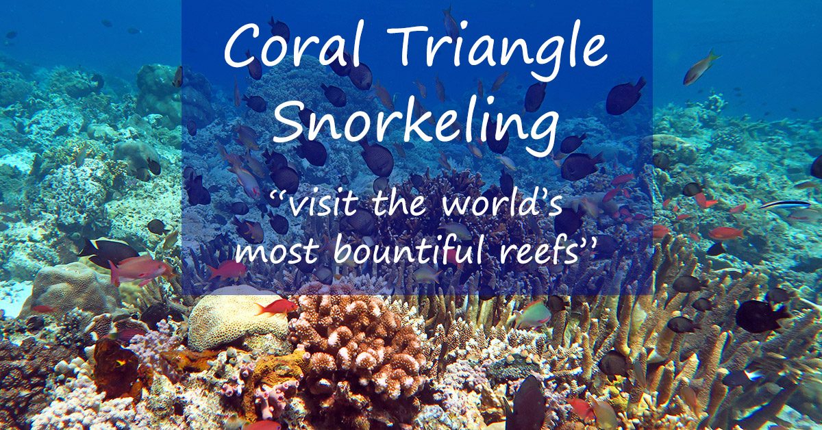 Coral Triangle Snorkeling - Most Alive Reefs In The World