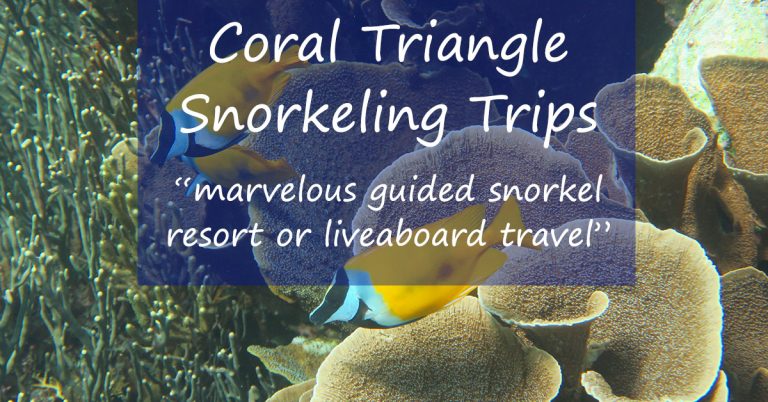 Snorkeling Sombrero Reef - A Super Treat! See Pictures