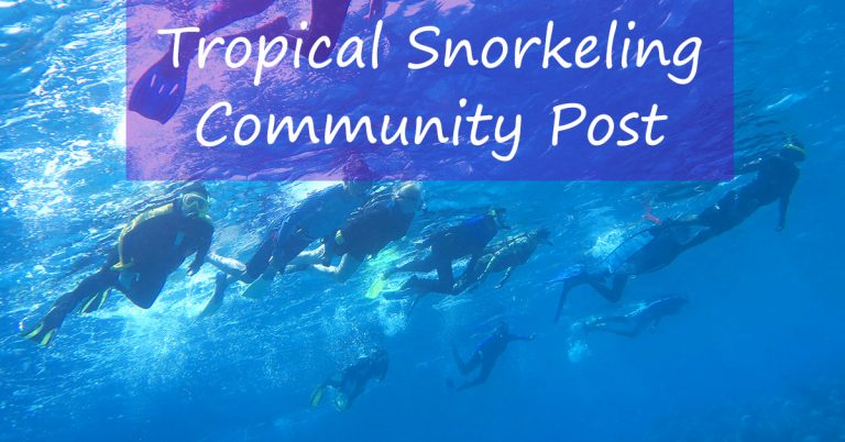 Tropical Snorkeling News - See What's New On The Site