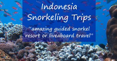 Recommended Maui Snorkeling Spots By Experienced Snorkelers