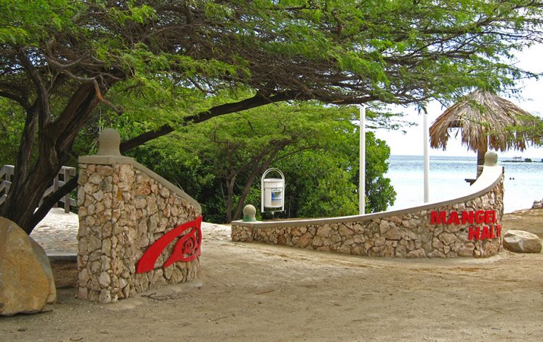 Snorkeling Mangel Halto - Best In Aruba, Not For Beginners