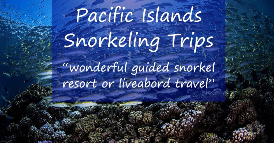 Best Snorkeling Fins - Our Hands-on Tests And Reviews - 2024