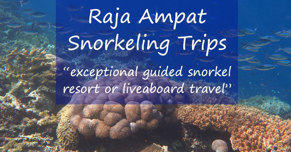 Snorkeling Sombrero Reef - A Super Treat! See Pictures