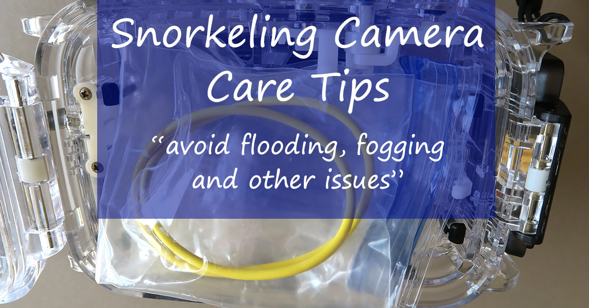 2025 Snorkeling Camera Guide - By An Experienced Snorkeler