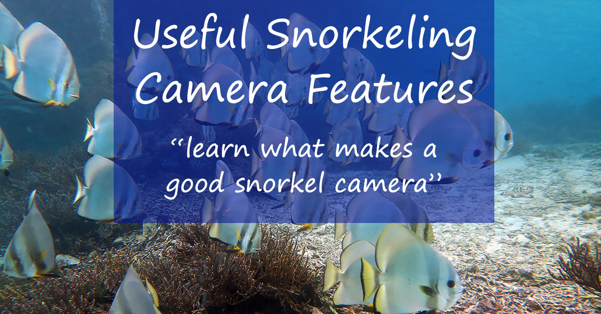 2025 Snorkeling Camera Guide - By An Experienced Snorkeler
