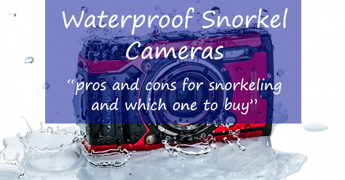 2025 Snorkeling Camera Guide - By An Experienced Snorkeler