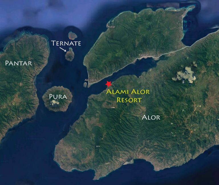 12 Day Alami Alor Resort Snorkeling Trip - Coral Triangle