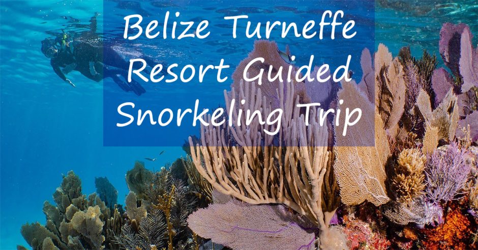 Snorkeling Queens Beach Is The Best In Waikiki