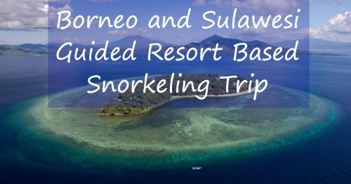 Key Largo Snorkeling - The Best Spots And How To Get To Them