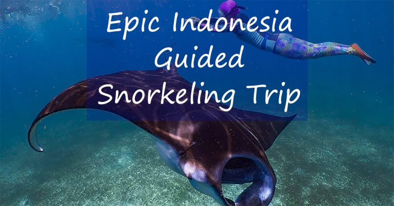 Recommended Maui Snorkeling Spots By Experienced Snorkelers