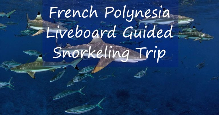 Key Largo Snorkeling - The Best Spots And How To Get To Them