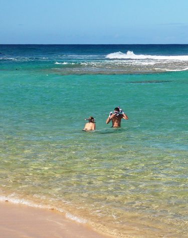 Learn How To Snorkel - Essential Equipment And Skills