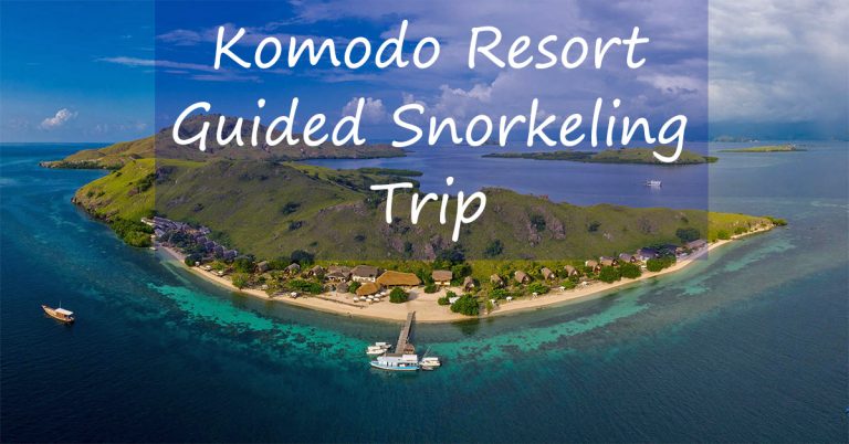 Snorkeling Queens Beach Is The Best In Waikiki