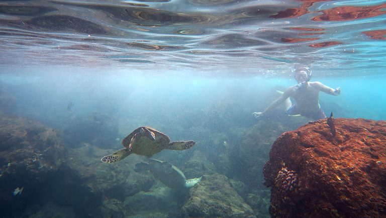 Learn To Read Ocean Snorkeling Conditions For Safety